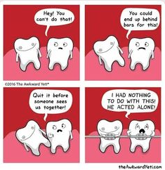 The Retainer Club – Snarky in the Suburbs